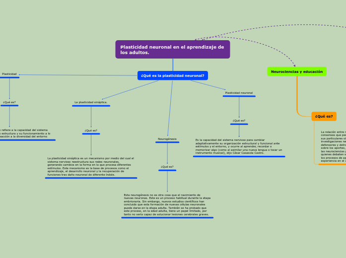 Plasticidad neuronal en el aprendizaje de ...- Mind Map